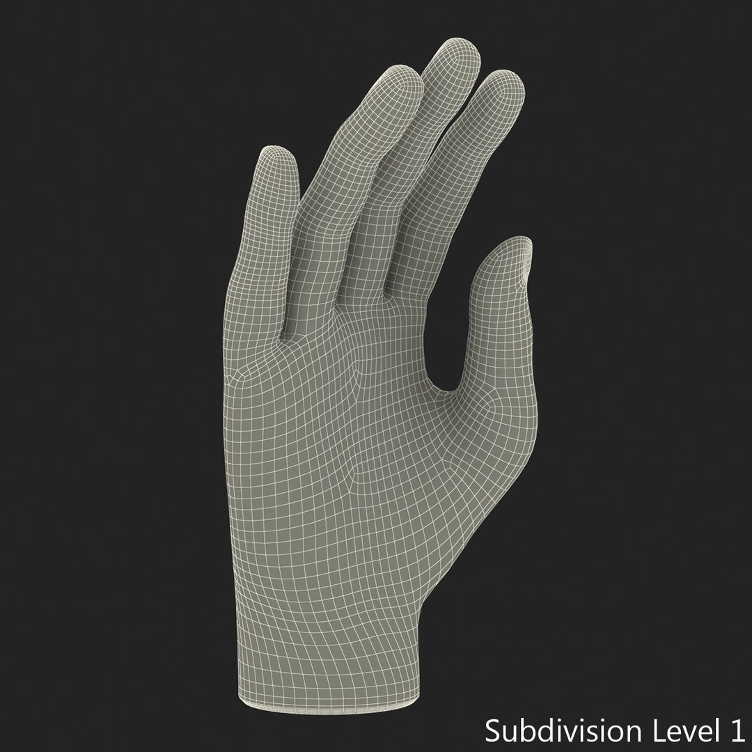 3d Model Of Plastic Hand