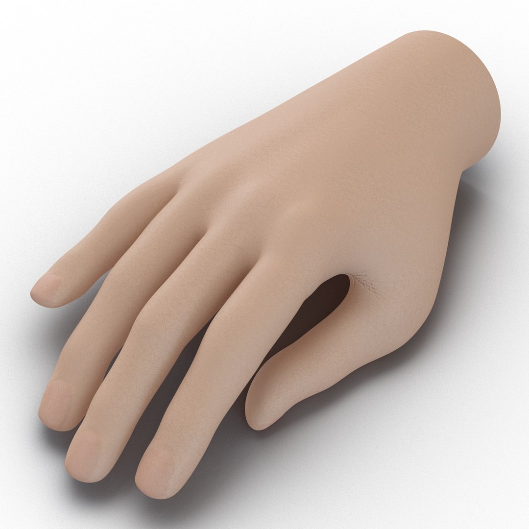 3d Model Of Plastic Hand