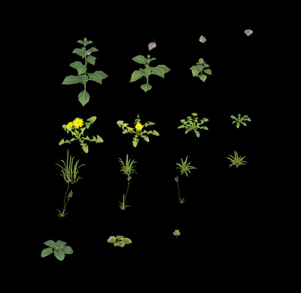 Blender asset grass 3D model - TurboSquid 1228814