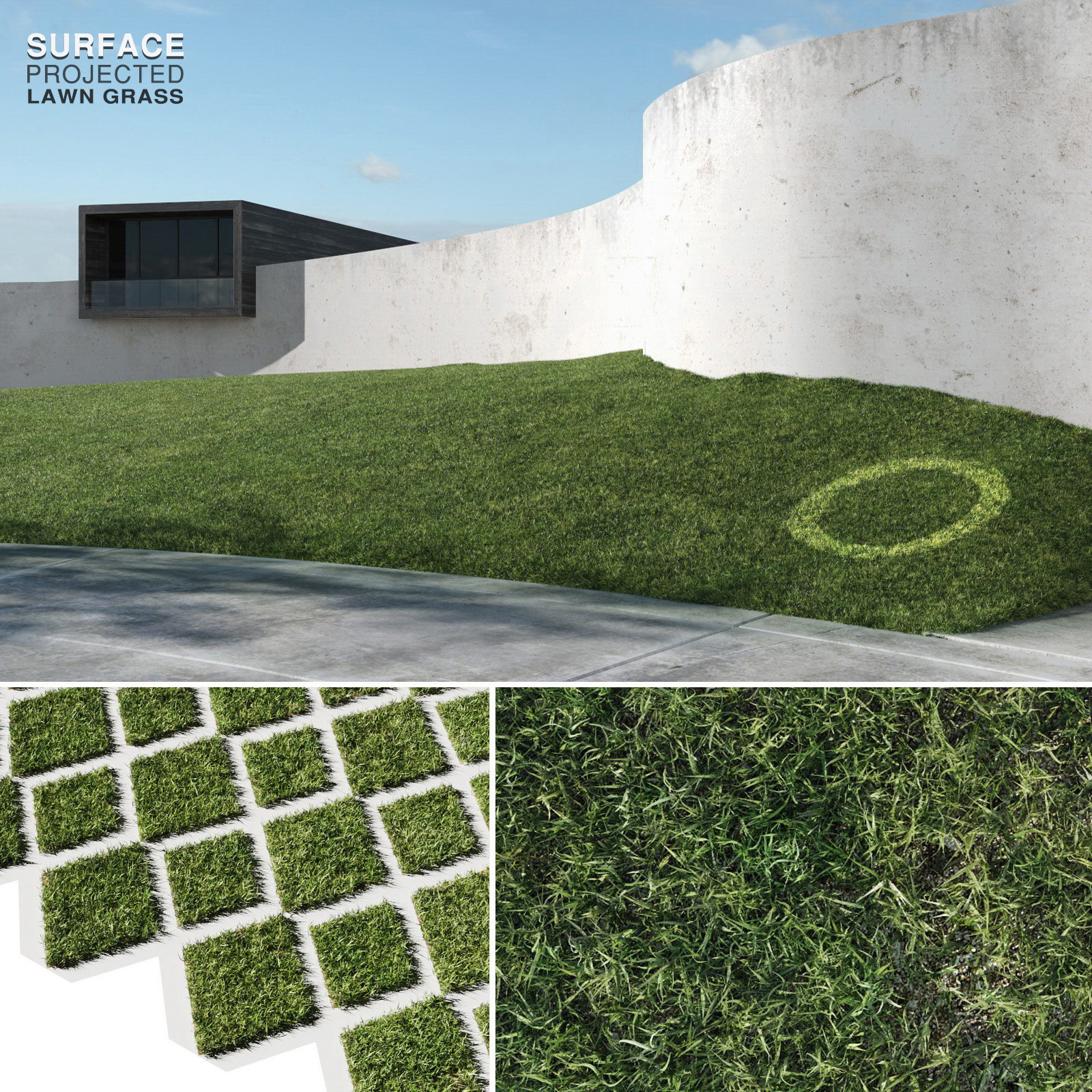 lawn grass 2 3d model