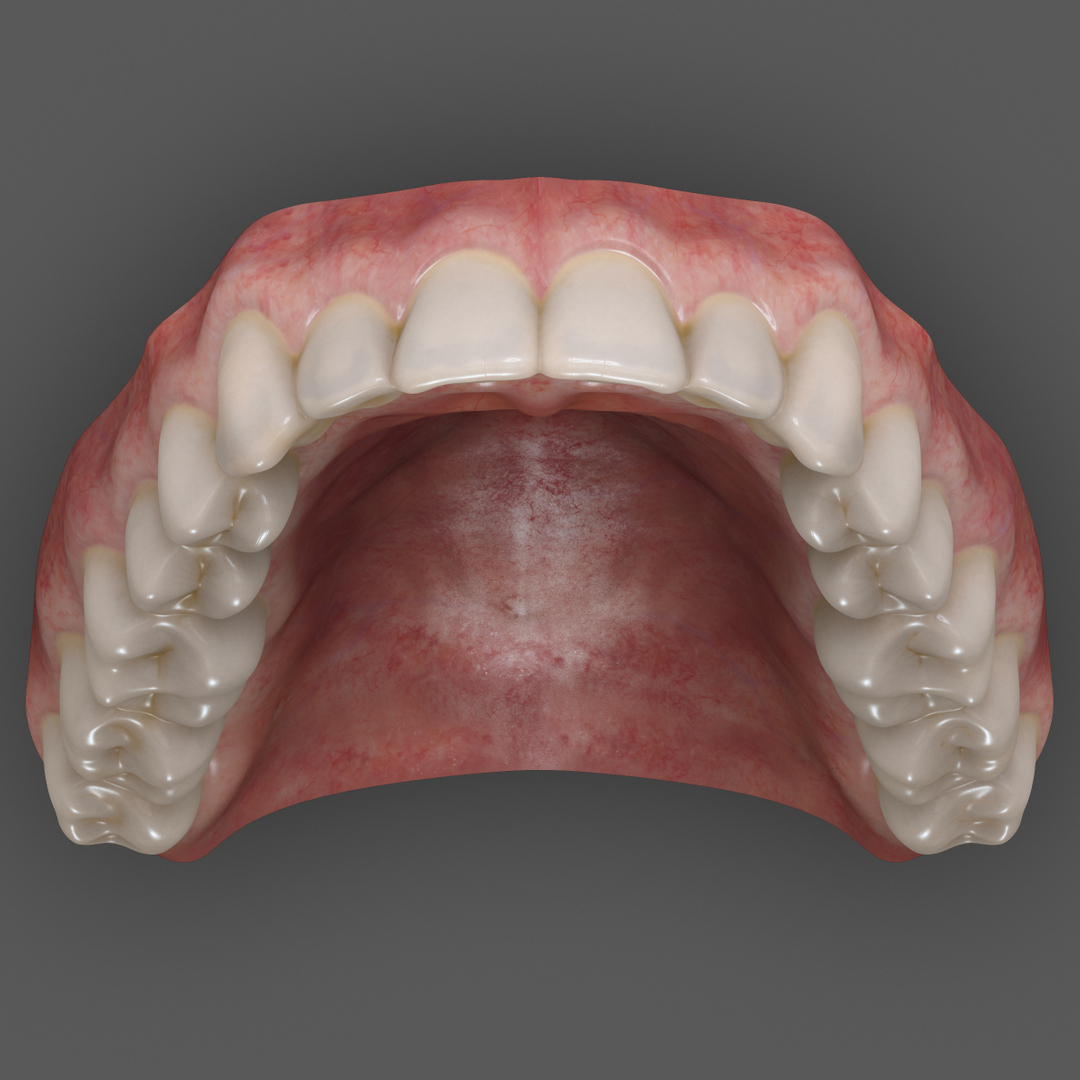 3dsmax Realistic Orthodontics