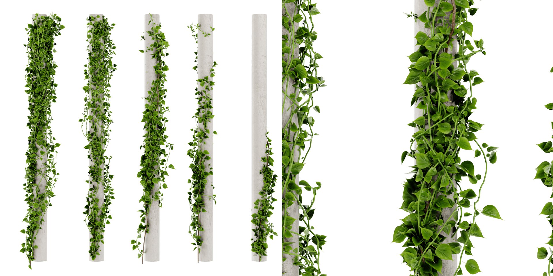 3D Collection Plant Vol 421 - Blender Model Model - TurboSquid 2097114