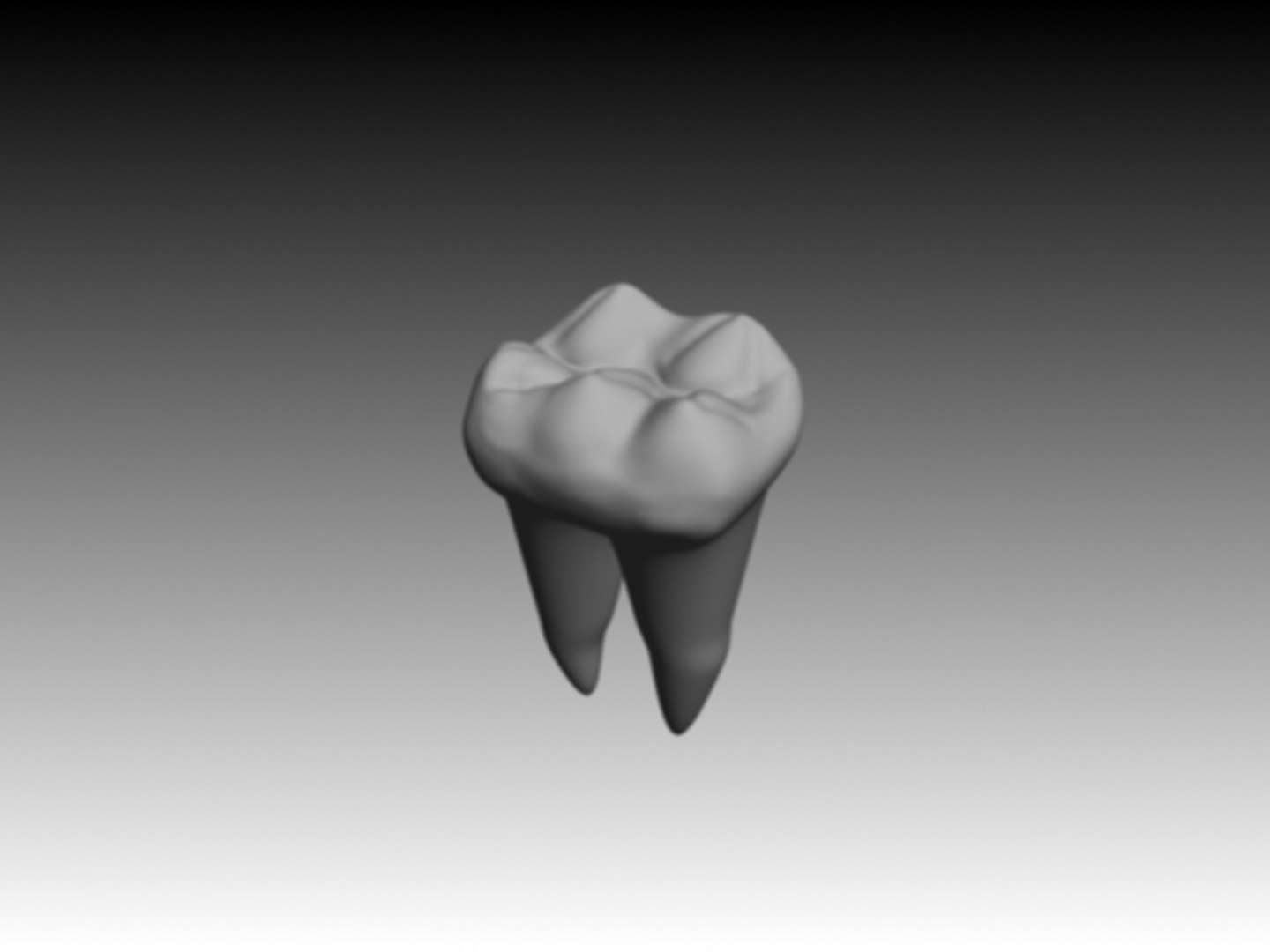 3d molar mandibular model