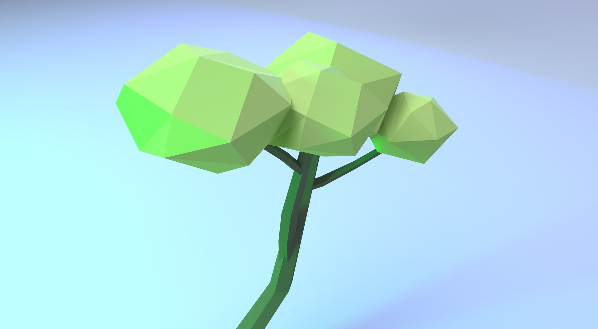 Tree Plant Model - TurboSquid 1712884
