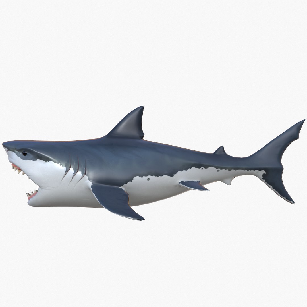 Stylized Shark 3D Model - TurboSquid 1404815