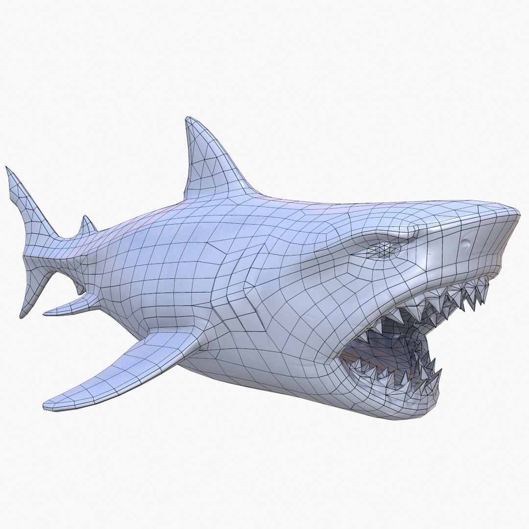 Stylized Shark 3D Model - TurboSquid 1404815
