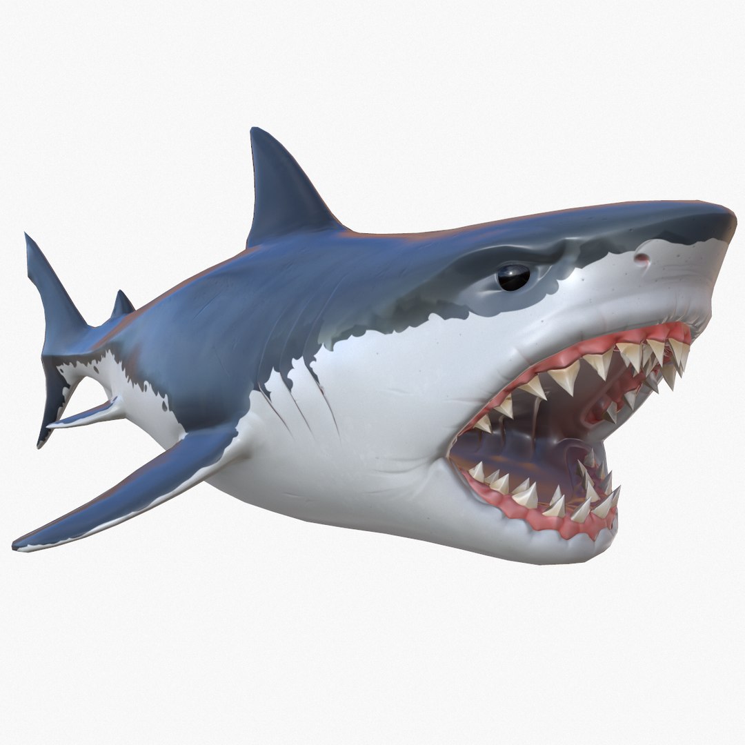 Stylized Shark 3D Model - TurboSquid 1404815