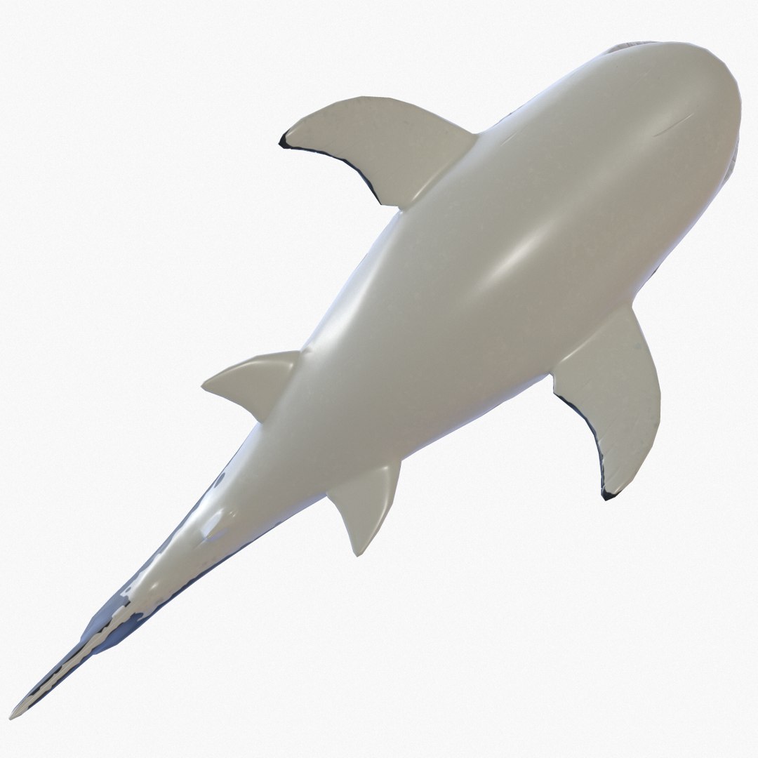 Stylized Shark 3D Model - TurboSquid 1404815