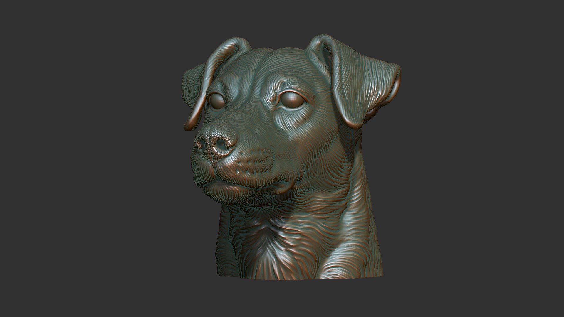 Jack Russell Terrier Bust 3D - TurboSquid 2235000