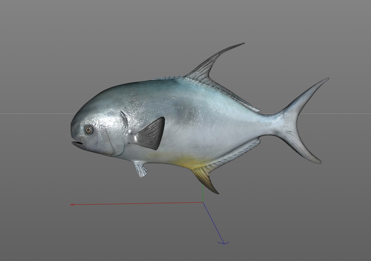 3D Fish Model - TurboSquid 1551926