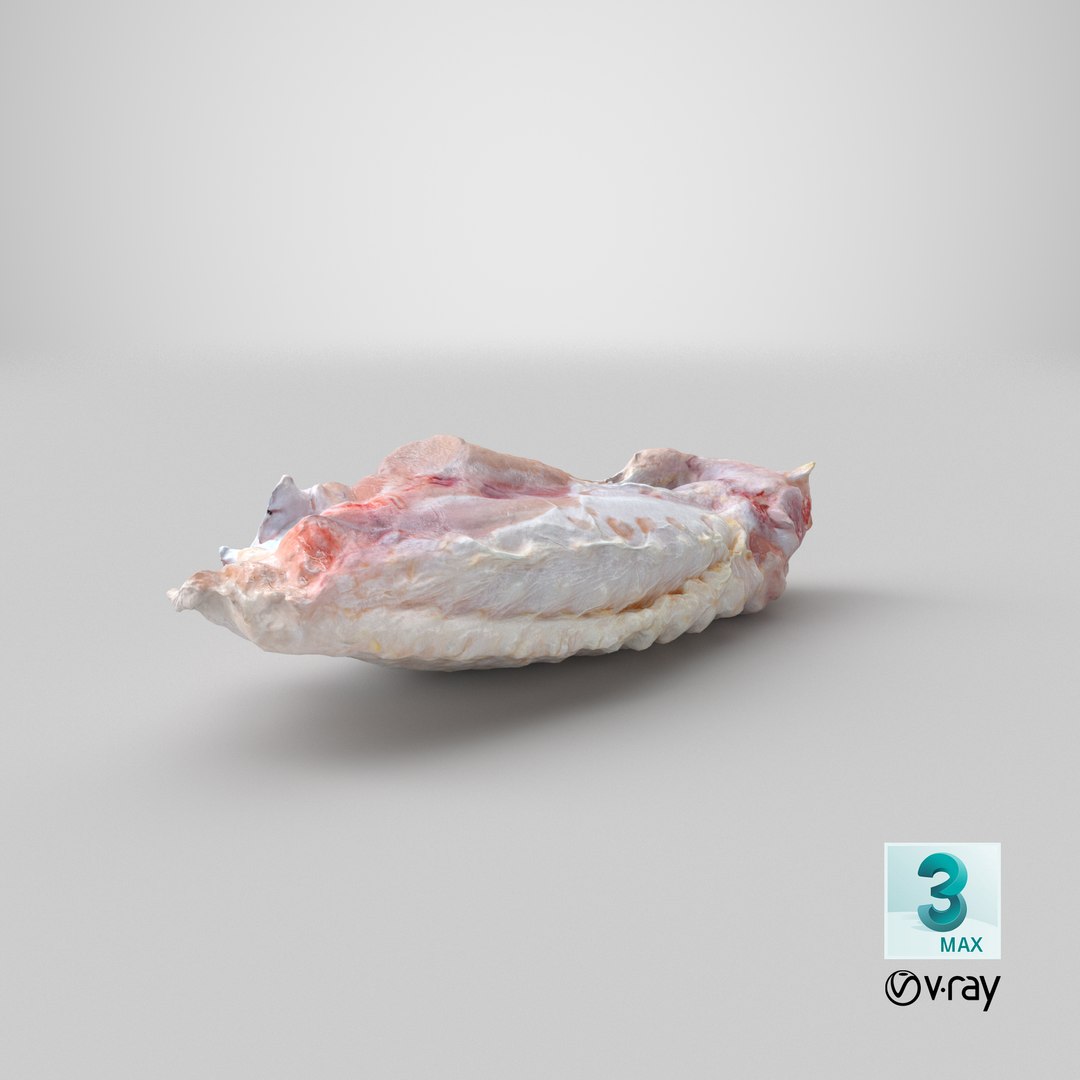 3D Chicken Wing 03 - TurboSquid 1906879