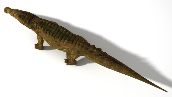 3D Leptosuchus model - TurboSquid 1879573