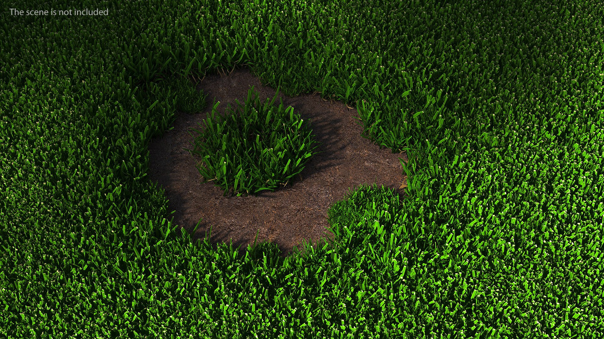 Grass Patch 3D - TurboSquid 2243490