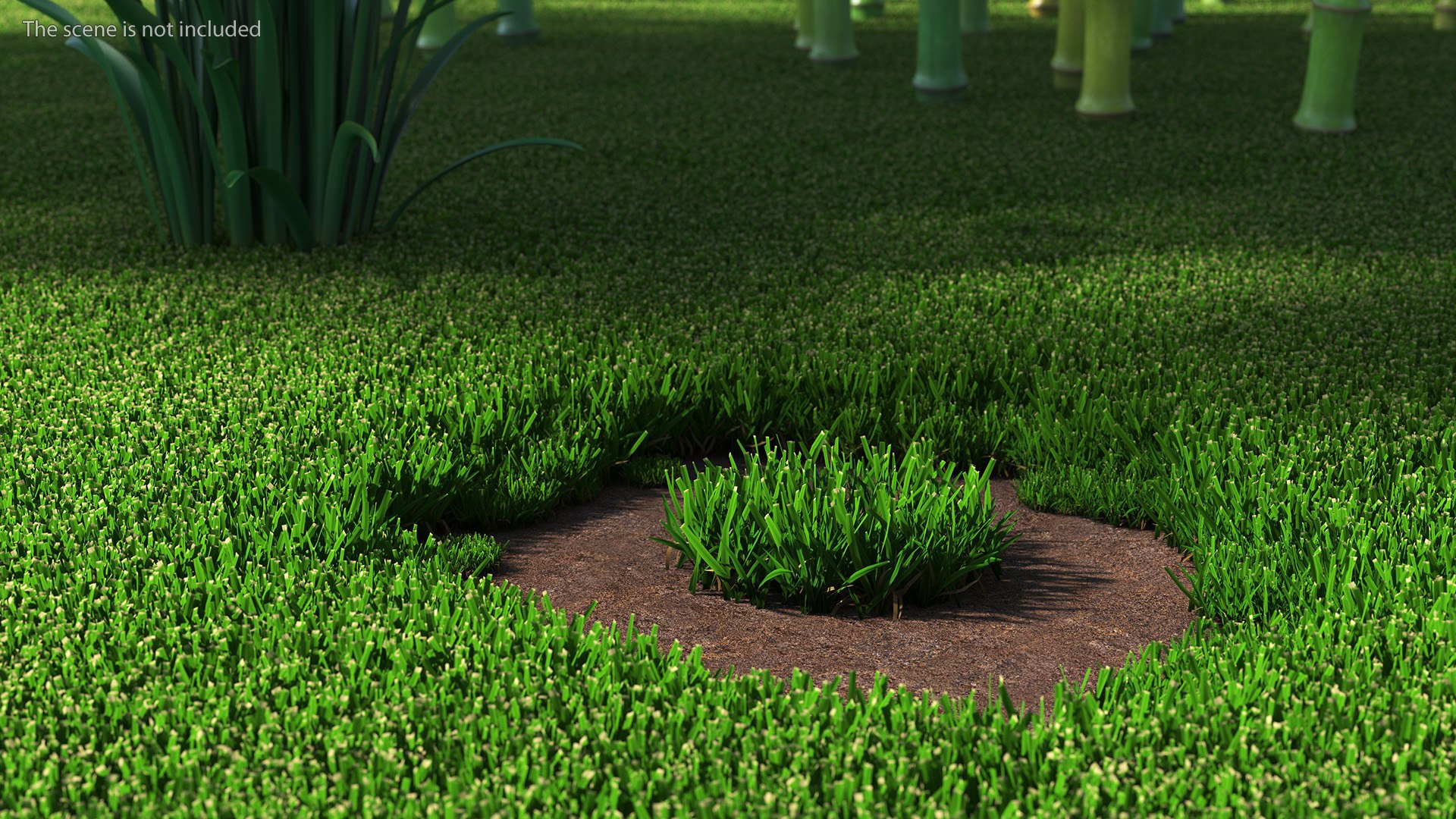 Grass Patch 3D - TurboSquid 2243490