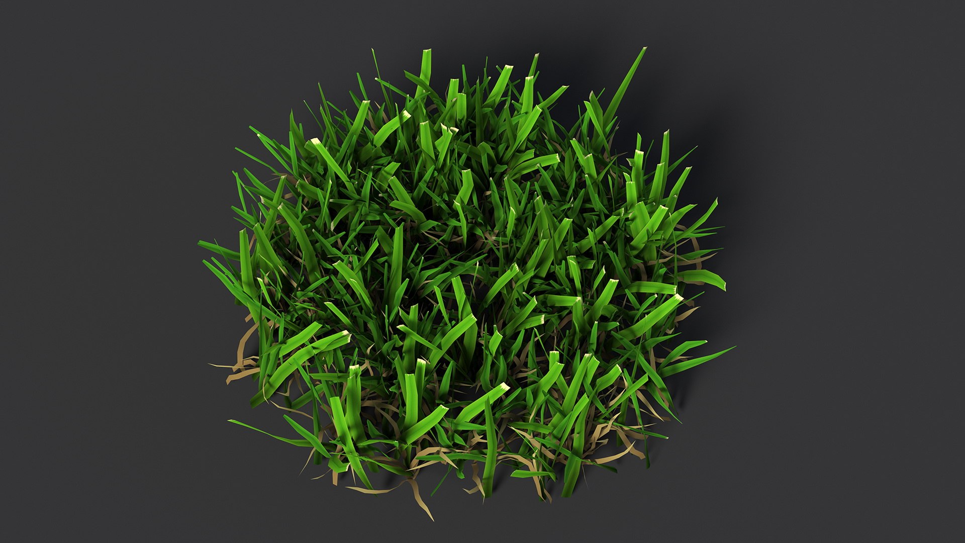 Grass Patch 3D - TurboSquid 2243490