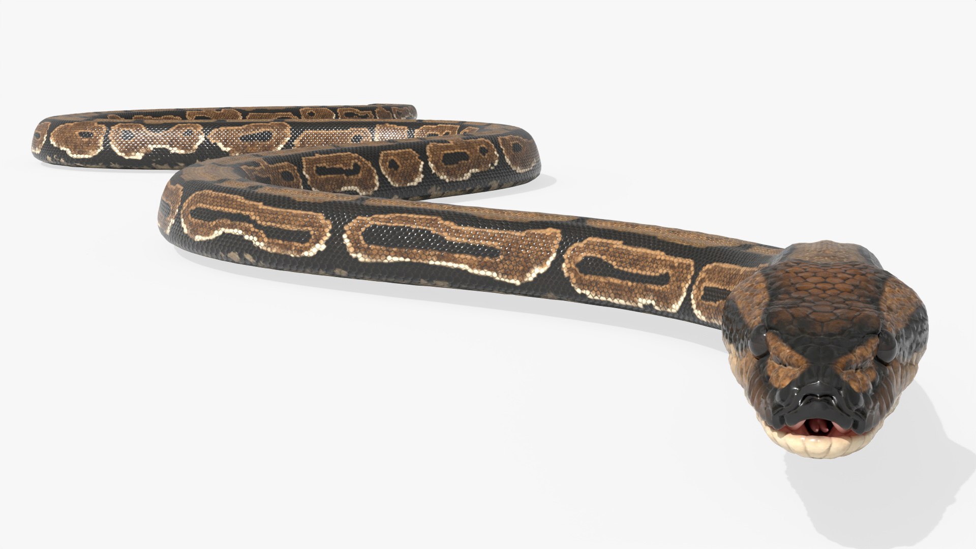 3D Reptile Python Snake Crawling Animated Rigged For Blender ...