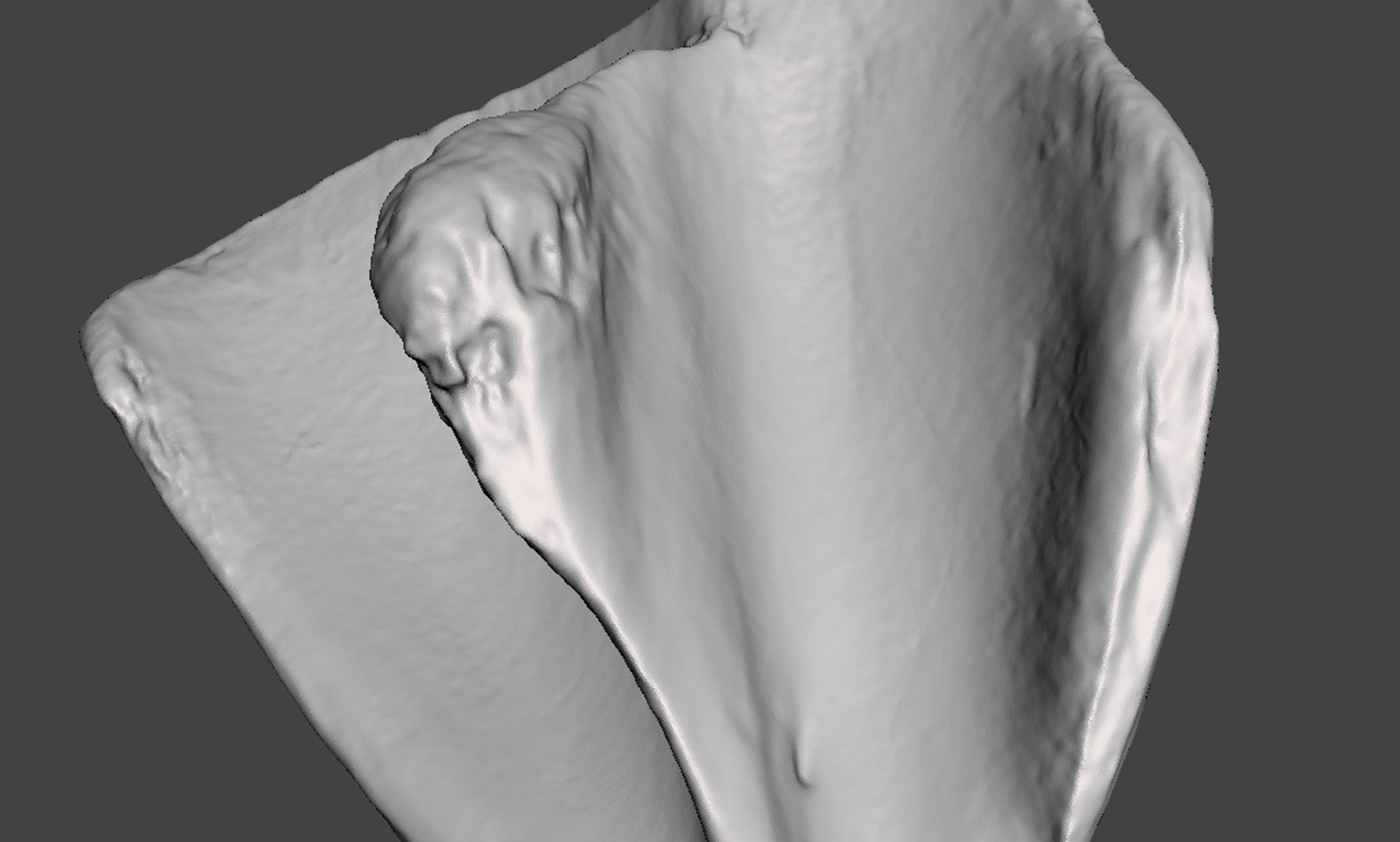 3d Pig Scapula Model