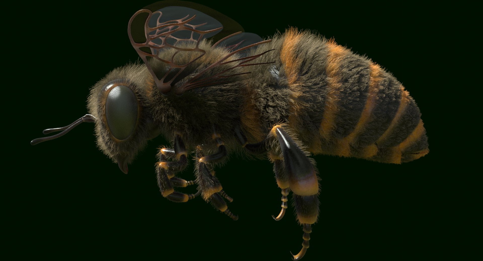 3d rigged bees flower animate