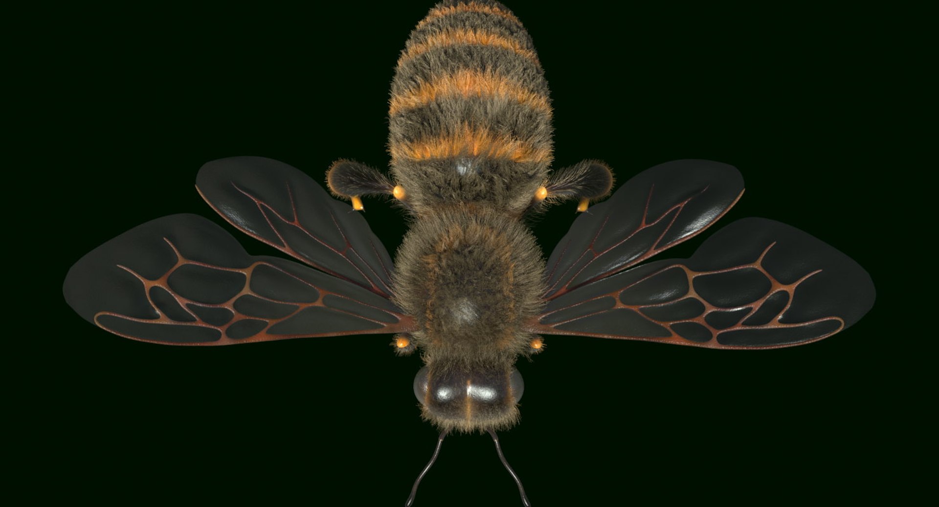 3d rigged bees flower animate