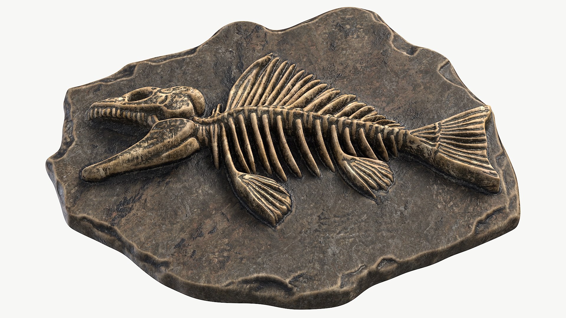 Prehistoric Fish Skeleton Fossil 020 Textured 3D Model - TurboSquid 2302935