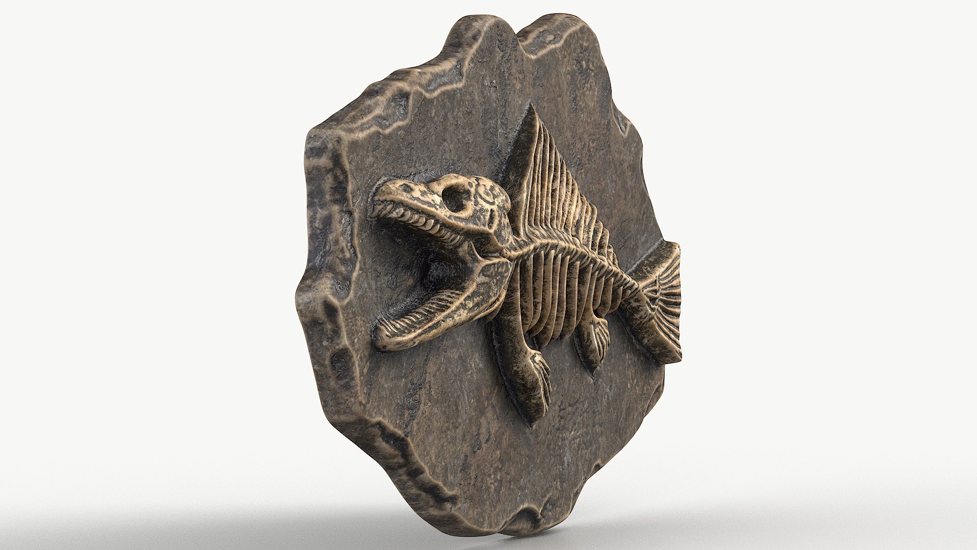 Prehistoric Fish Skeleton Fossil 020 Textured 3D Model - TurboSquid 2302935
