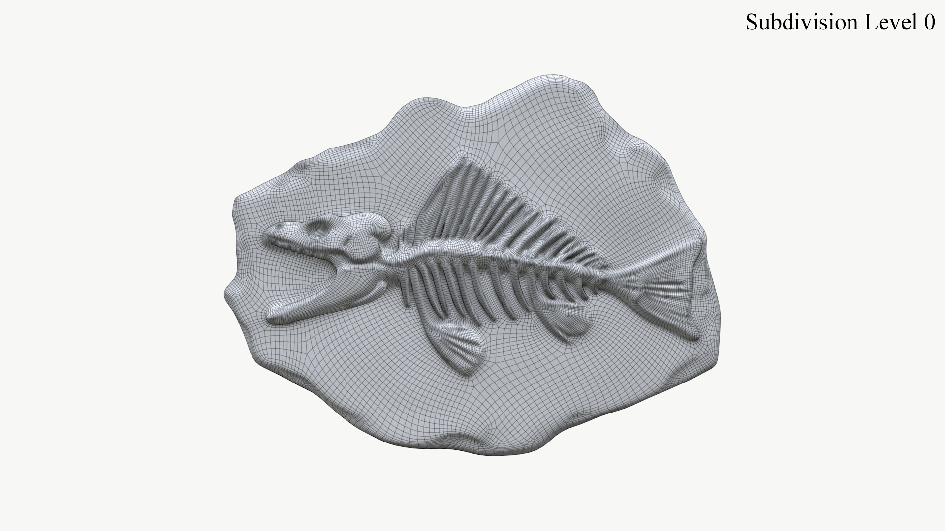 Prehistoric Fish Skeleton Fossil 020 Textured 3D Model - TurboSquid 2302935