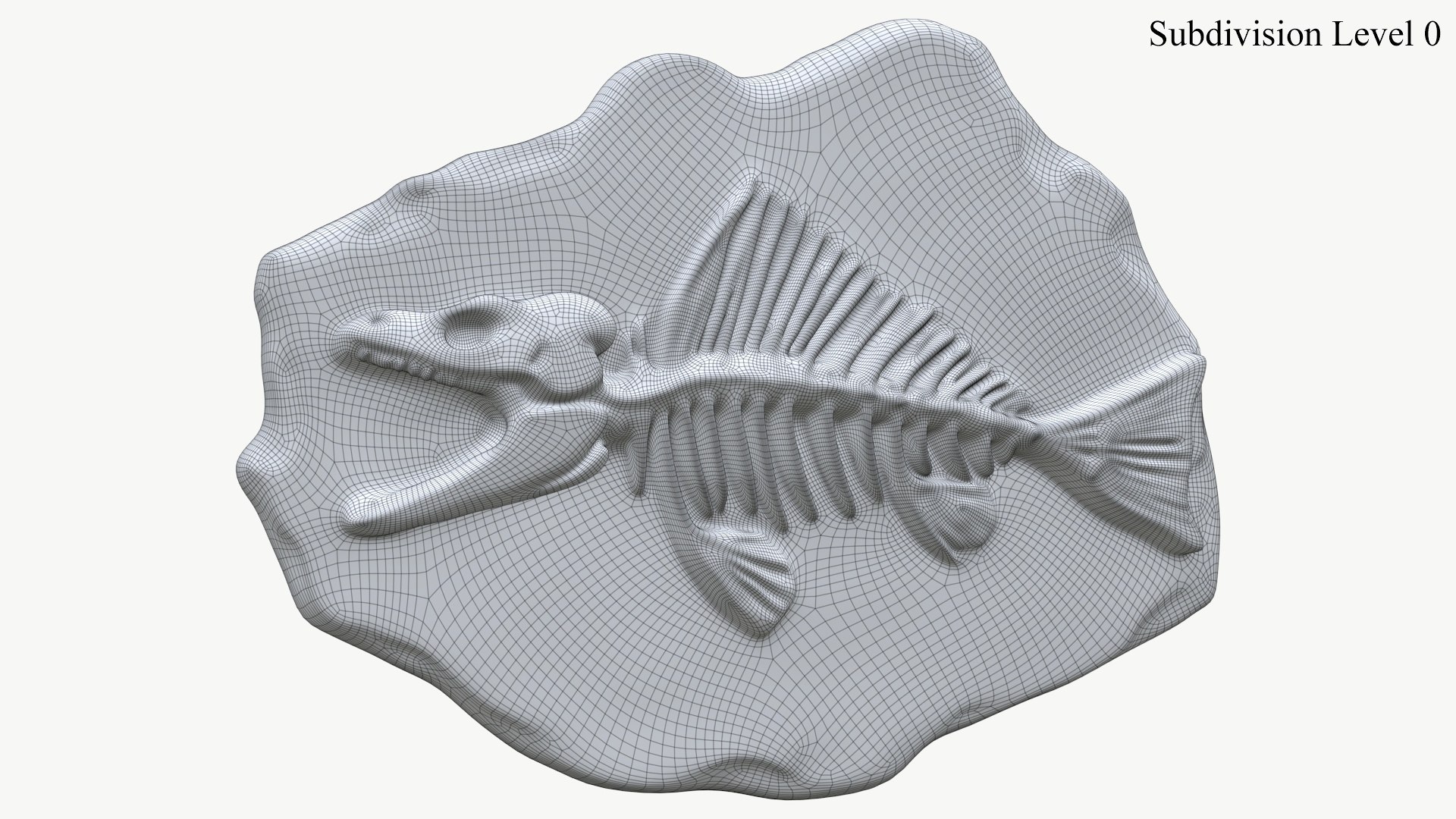 Prehistoric Fish Skeleton Fossil 020 Textured 3D Model - TurboSquid 2302935