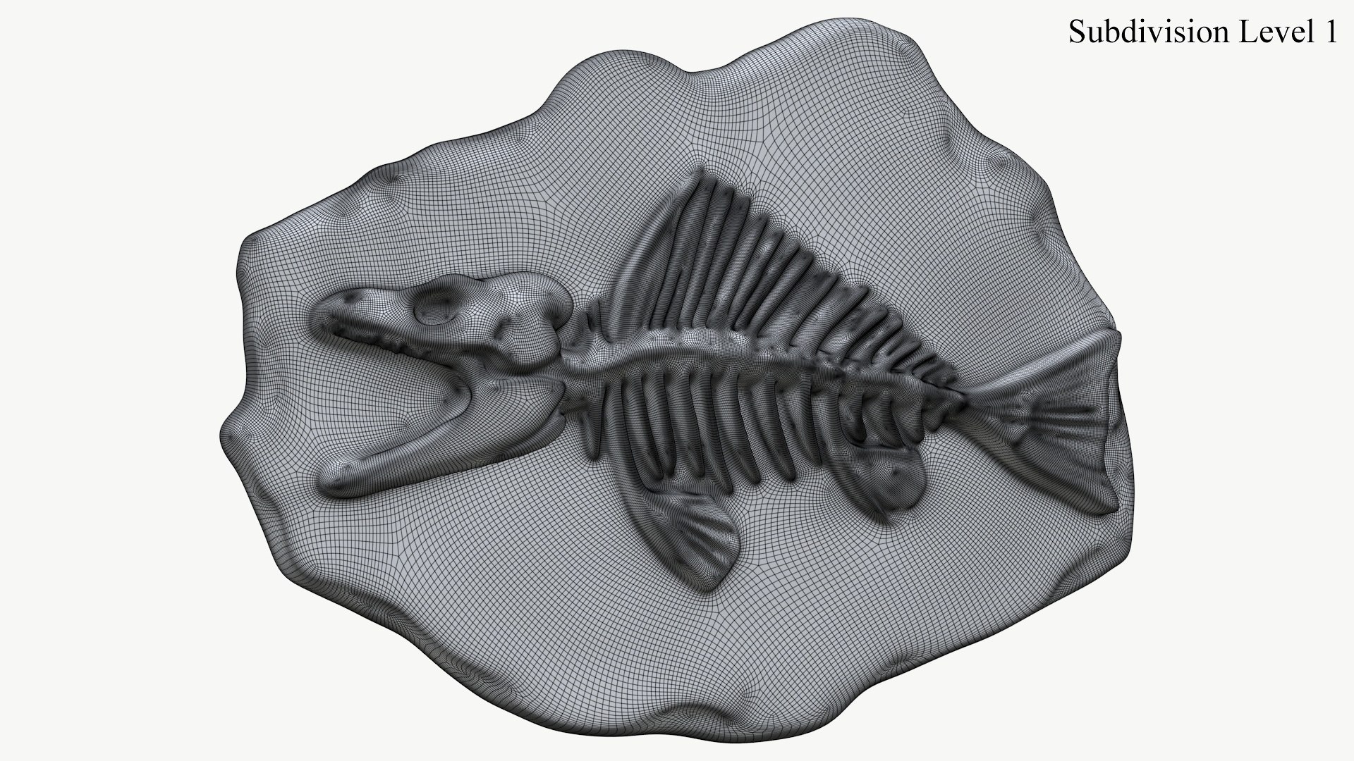 Prehistoric Fish Skeleton Fossil 020 Textured 3D Model - TurboSquid 2302935