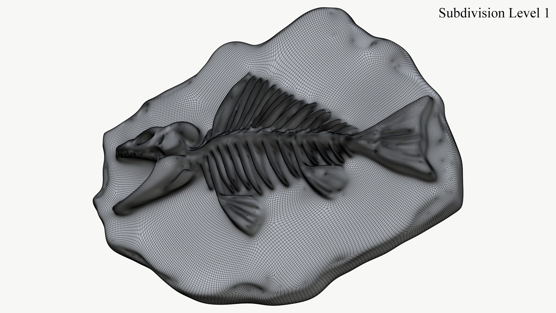 Prehistoric Fish Skeleton Fossil 020 Textured 3D Model - TurboSquid 2302935