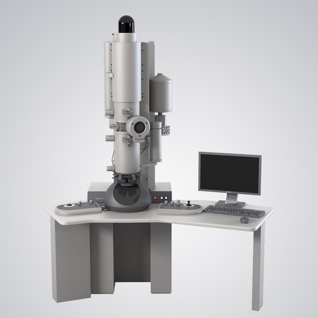 electron microscope 3d