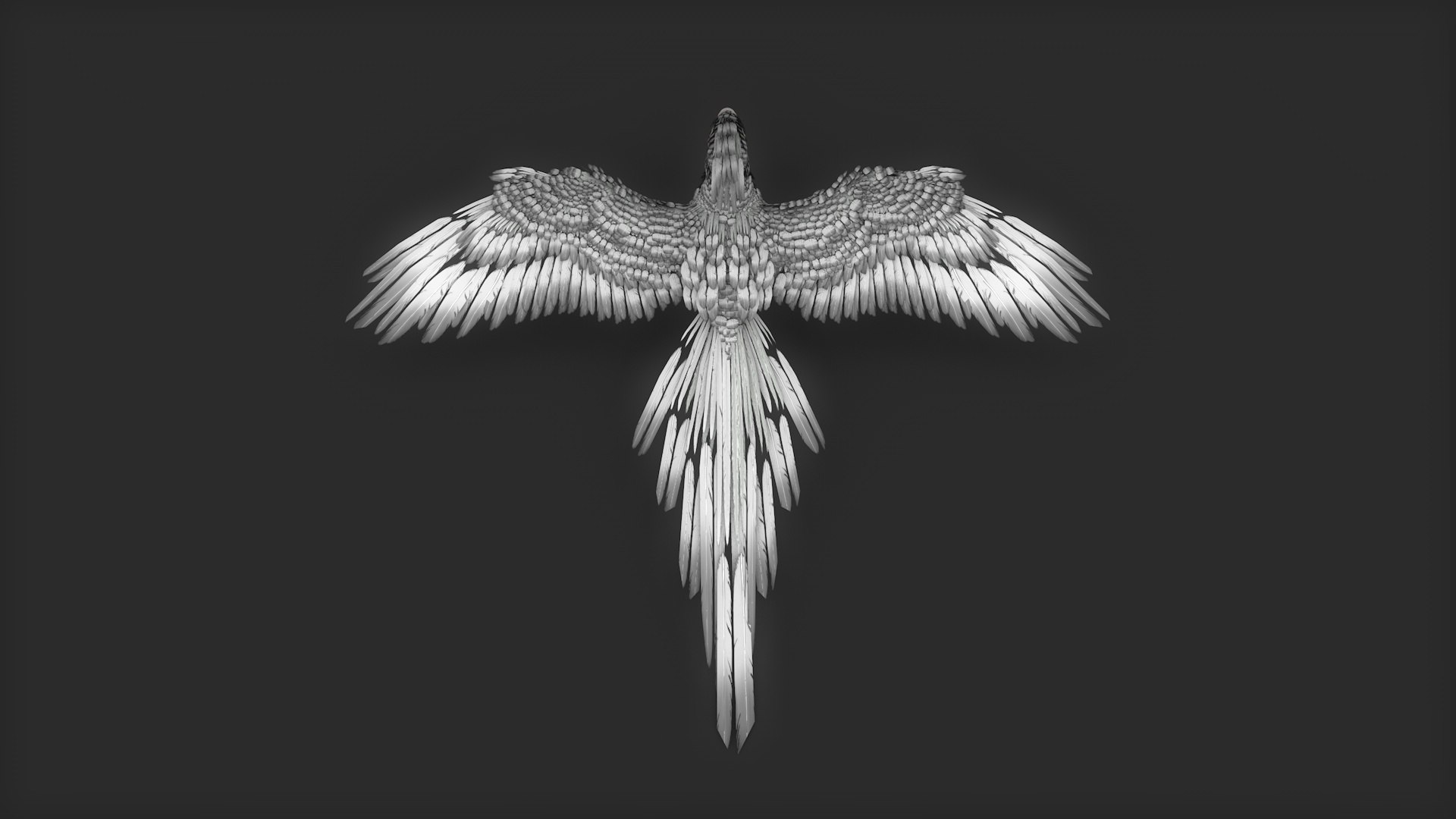 3D Parrot Model - TurboSquid 1840872