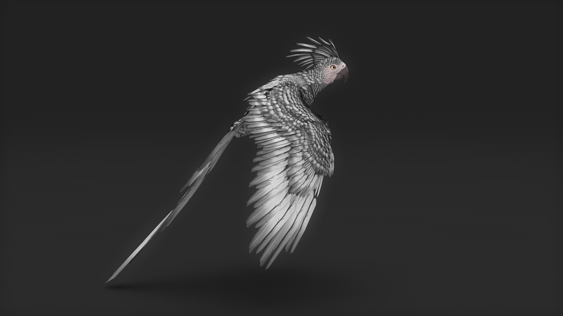 3D Parrot Model - TurboSquid 1840872