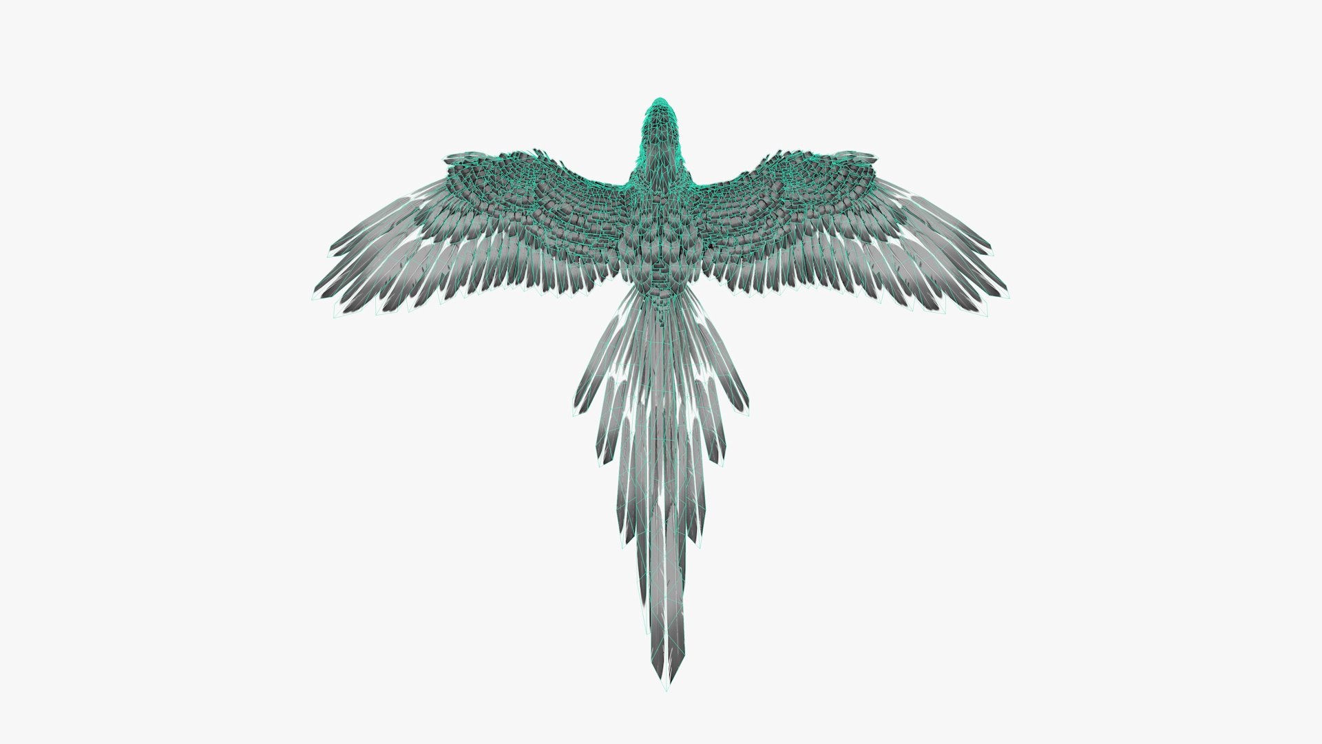 3D Parrot Model - TurboSquid 1840872