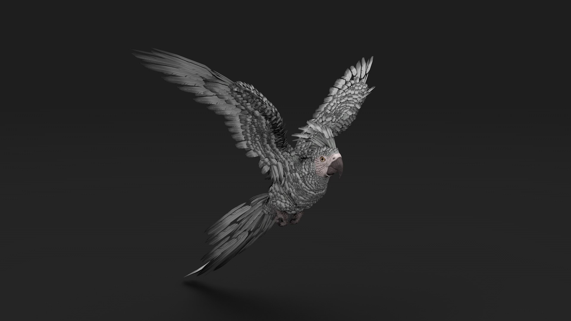 3D Parrot Model - TurboSquid 1840872