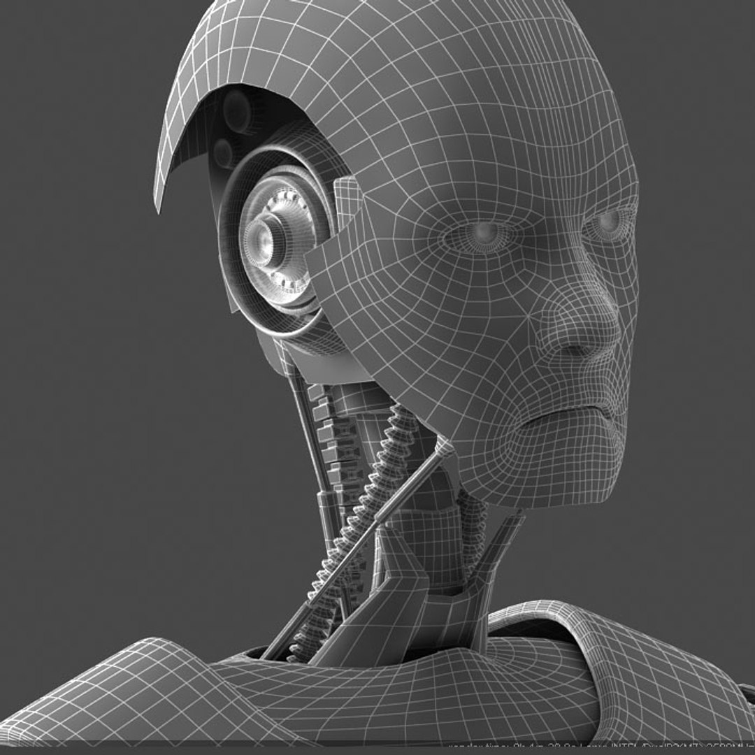 Iron Robot Max