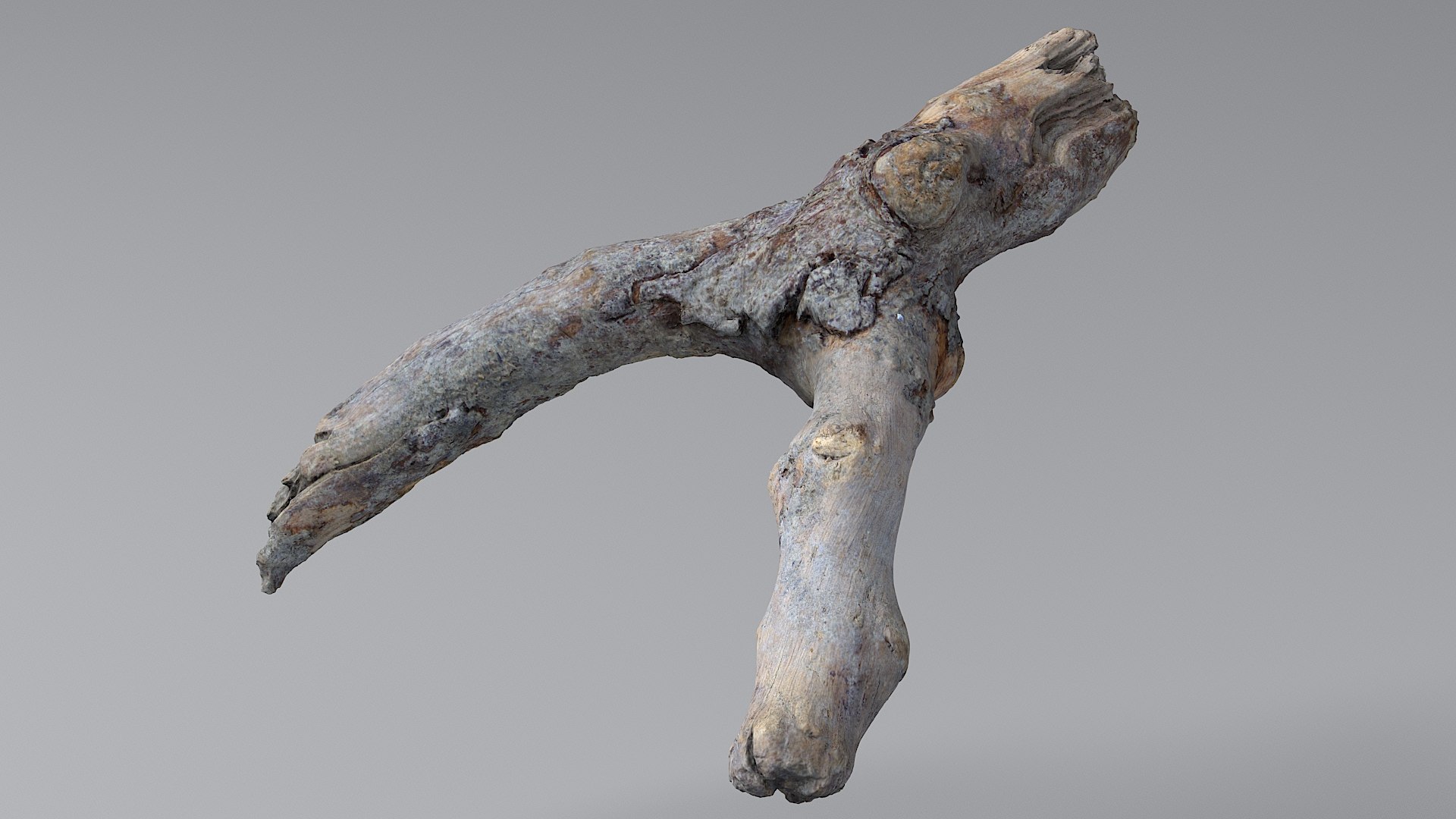 Twig 11 Model - TurboSquid 1964332