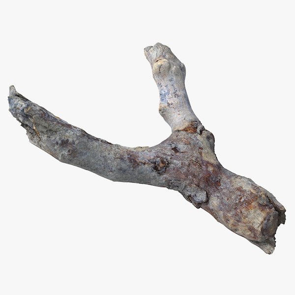 Twig 11 model - TurboSquid 1964332