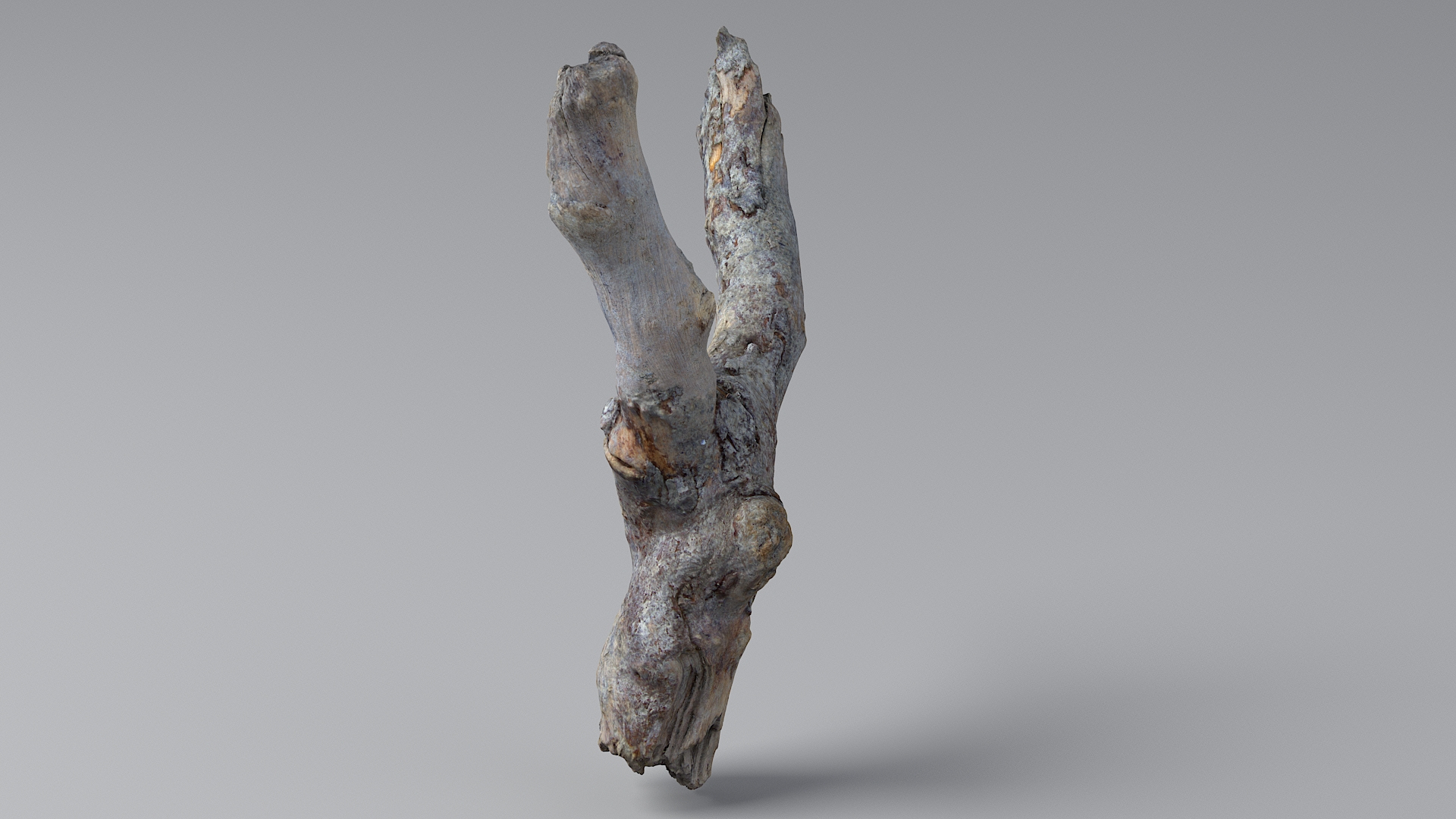 Twig 11 Model - TurboSquid 1964332