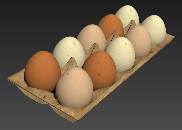 3d model eggs box carton