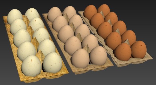3d model eggs box carton