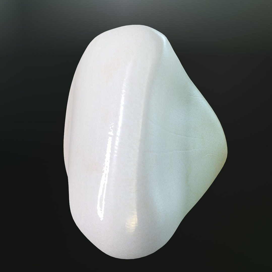 Max Tooth Lower Lateral Incisor