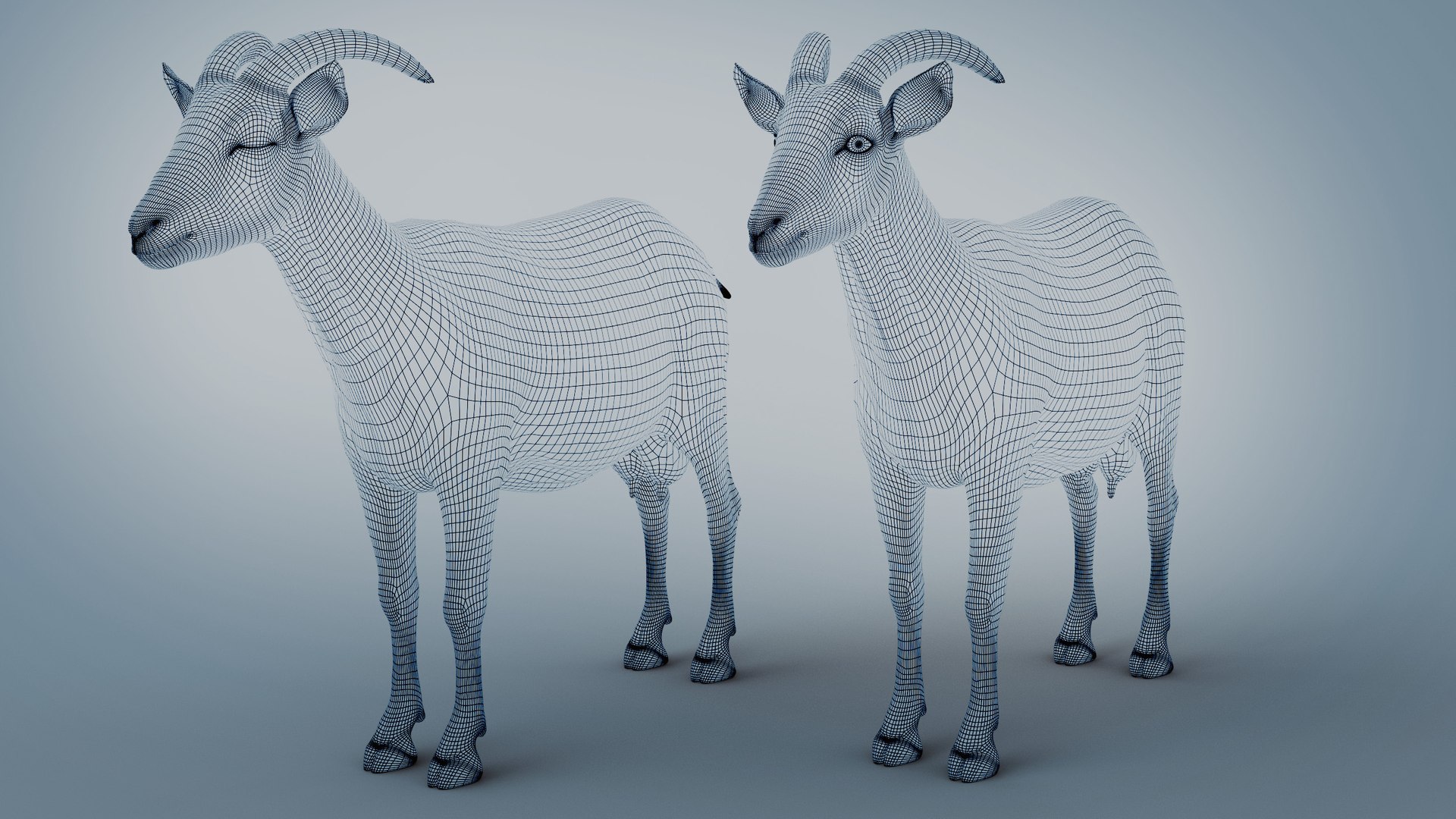 3D White Goat RIG Xgen-Core - TurboSquid 2397388