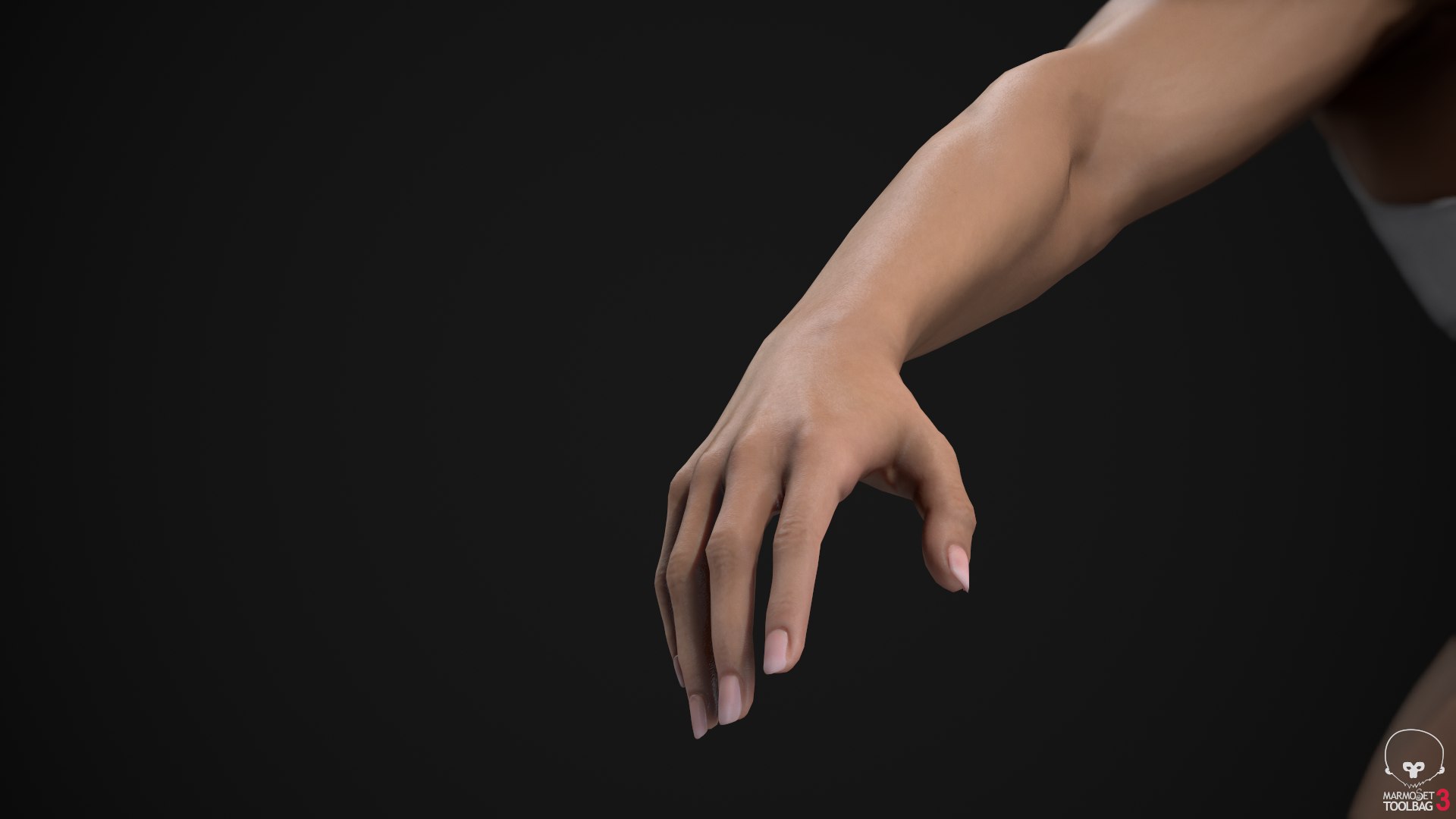 3D Model Muscle Woman - TurboSquid 1752349