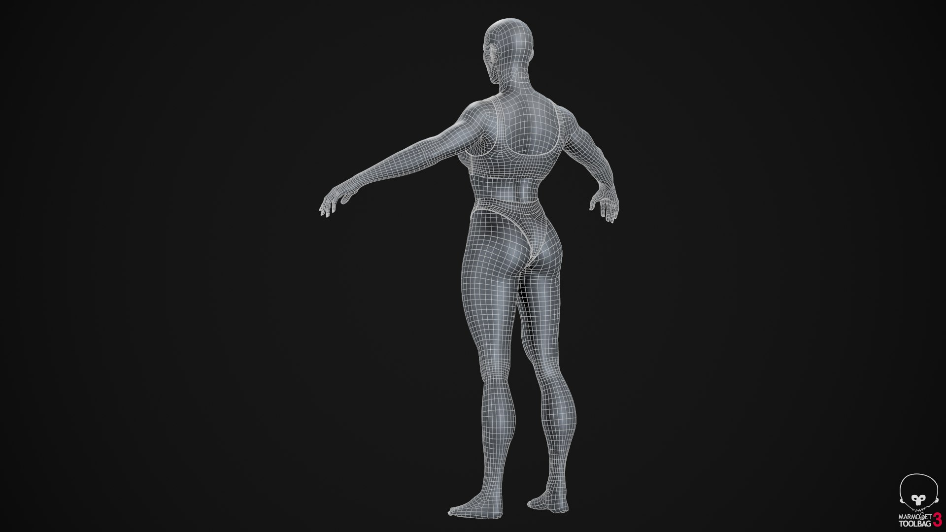 3D model Muscle woman - TurboSquid 1752349
