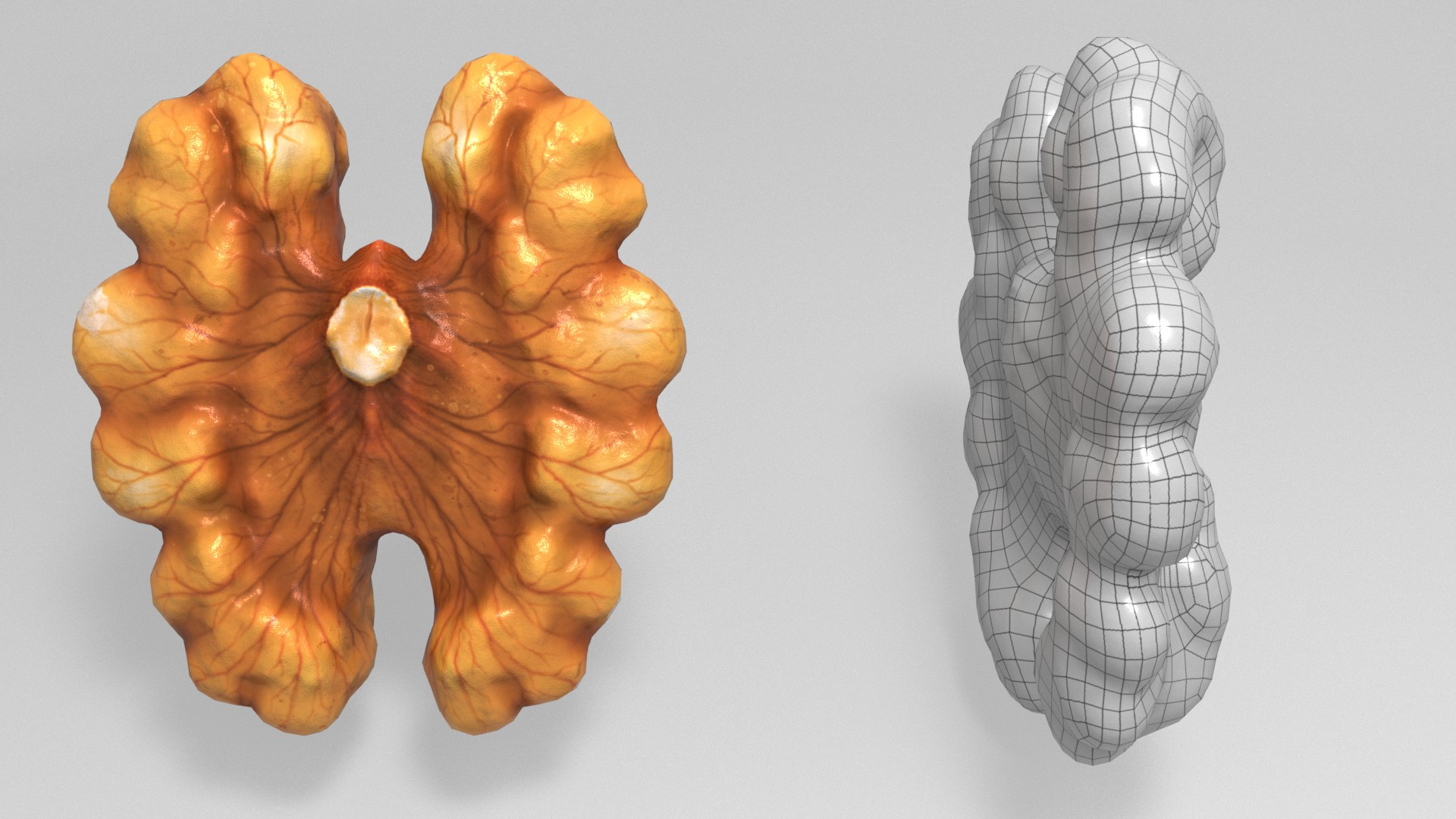3D Model Walnut - TurboSquid 2186907