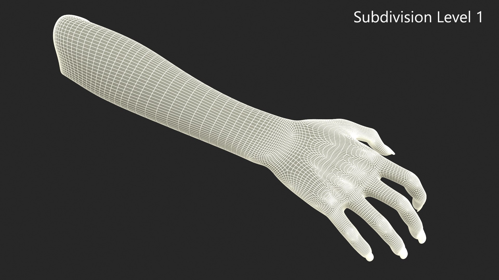 European Woman Hand Rigged For Maya 3D Model - TurboSquid 2177894