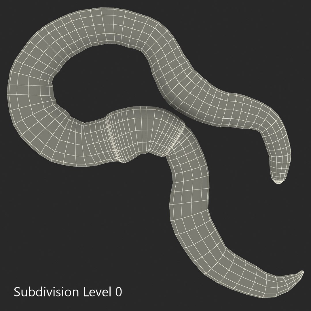 3d Earth Worm Pose 3