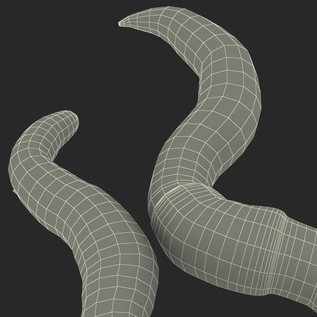 3d Earth Worm Pose 3