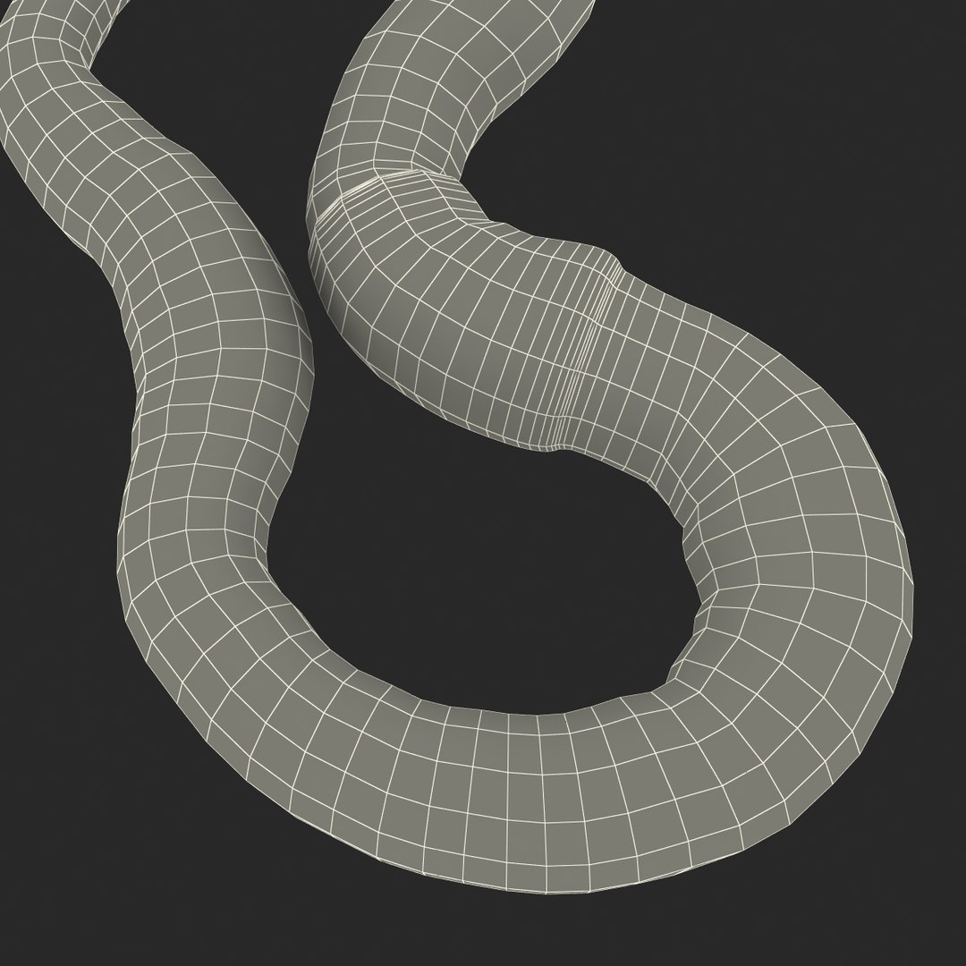 3d Earth Worm Pose 3