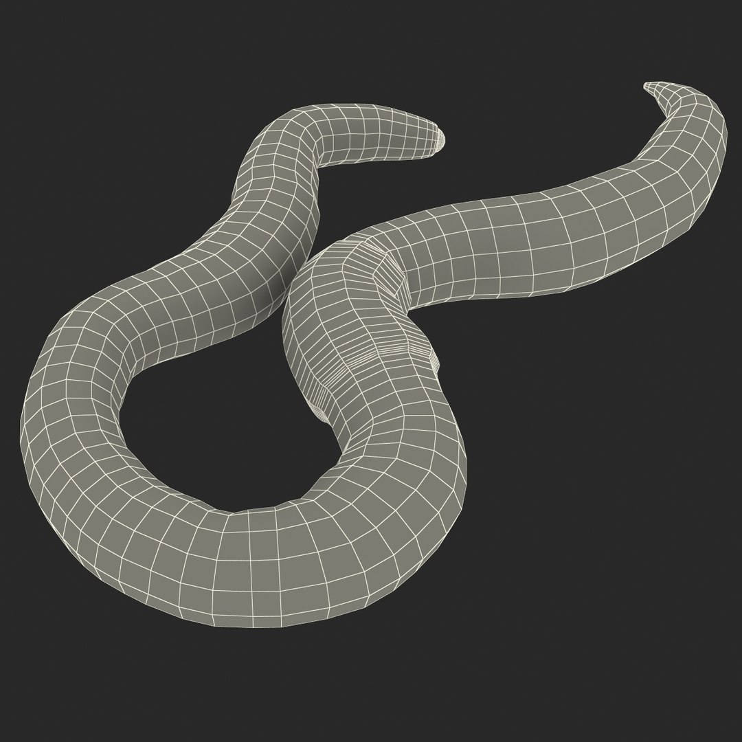 3d Earth Worm Pose 3